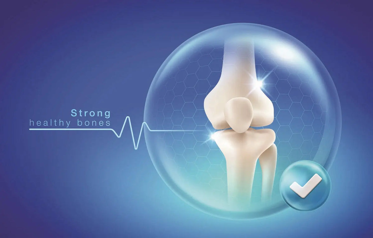 Holistic Approaches to Bone Health: Beyond calcium — Natures Zest