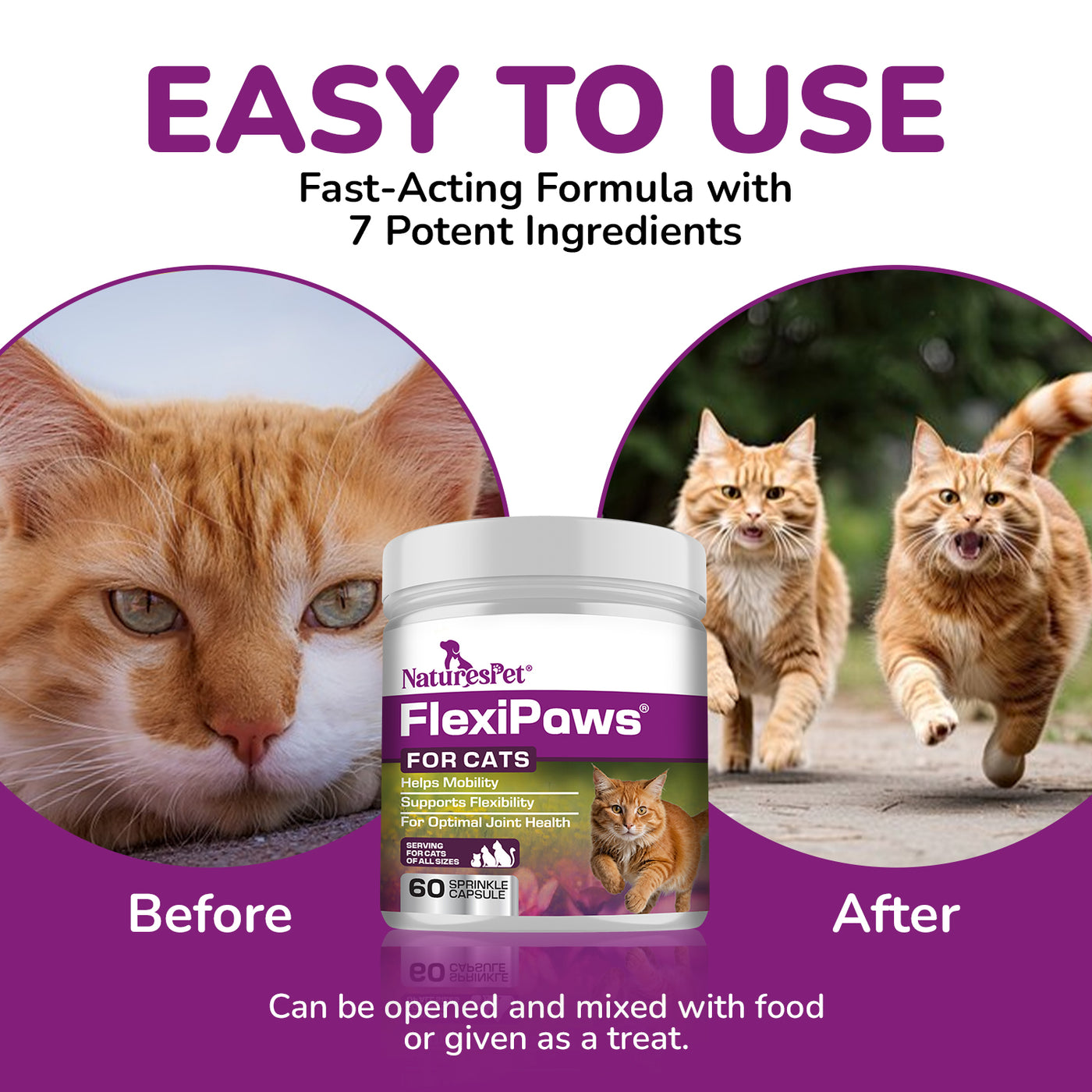 Cat Joint Support Supplement for Mobility & Flexibility Support – Flex ...
