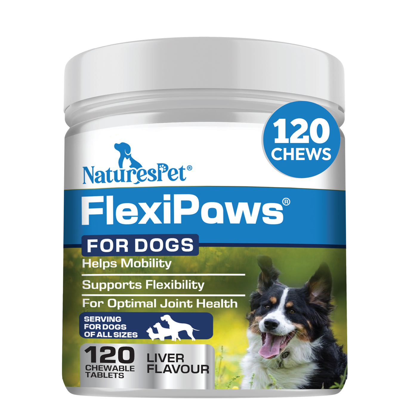 Natures Pet FlexiPaws - Advanced Joint Care Supplement for Dogs - 120 ...